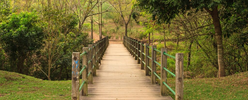 Quais os principais parques da Zona Norte? Conheça 7 opções! – Blog da ...